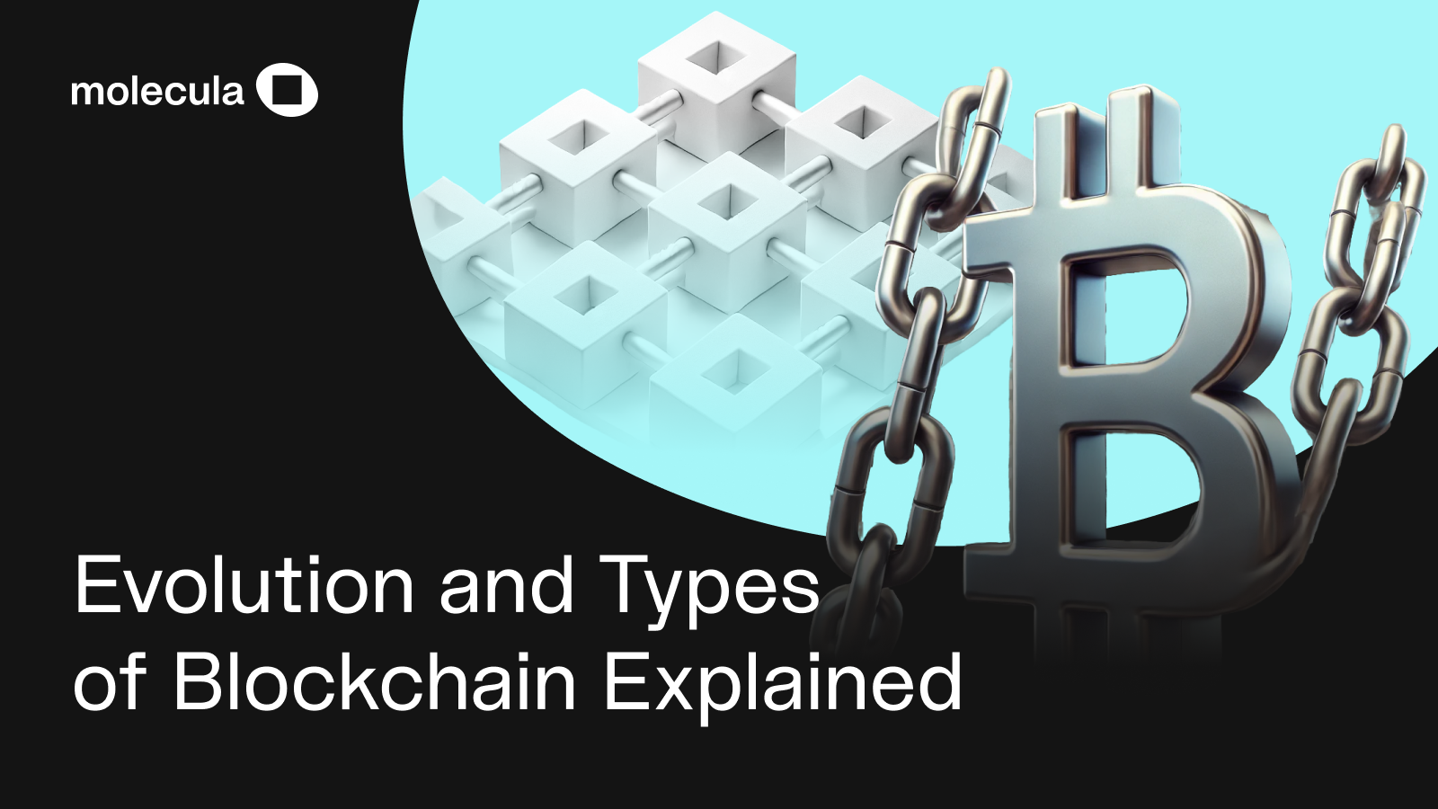 Types of Blockchain: A Comprehensive Guide to Different Networks