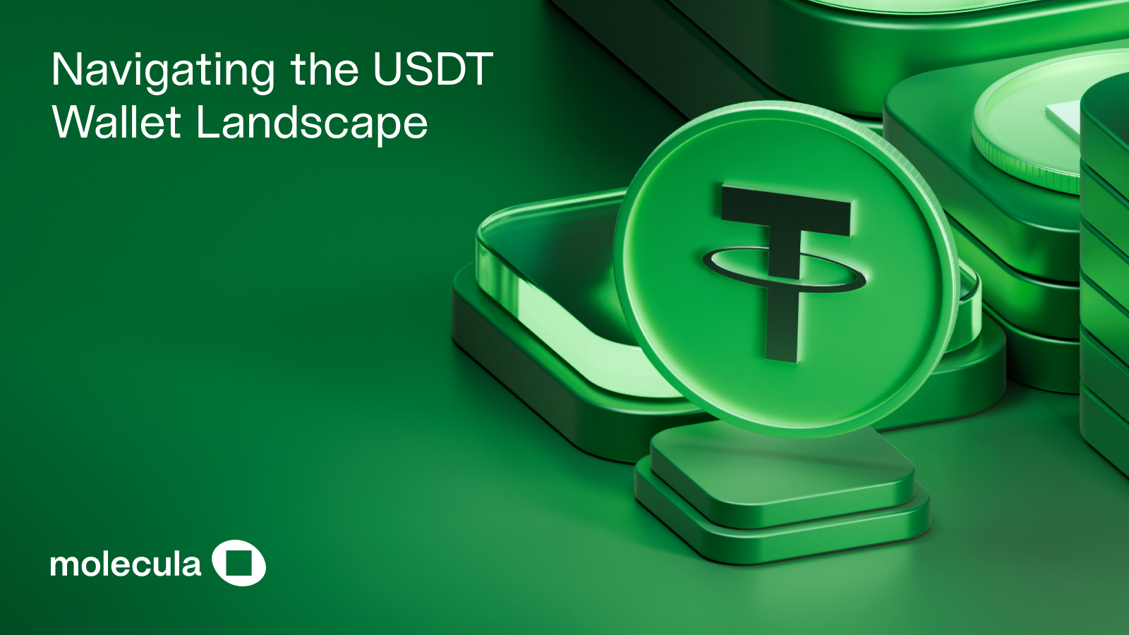 Best USDT Wallet: Secure Storage for Your Stablecoins in 2024
